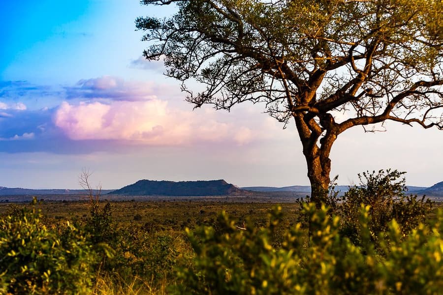 Kruger National Park, South Africa | Perfect Guide For Travellers
