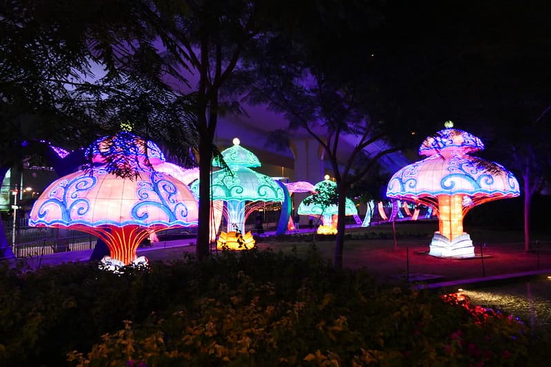 Inside Garden Glow: Explore the Magic of a Dazzling Light Show