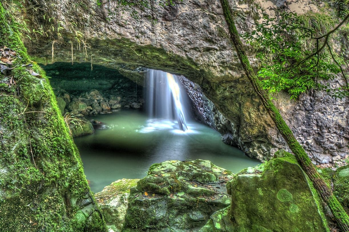 Springbrook National Park Tour | Explore The Lush Rainforests