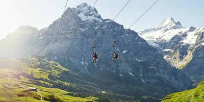 Grindelwald First Flyer Tickets | Book & Get to Ride at 84 Km/hr