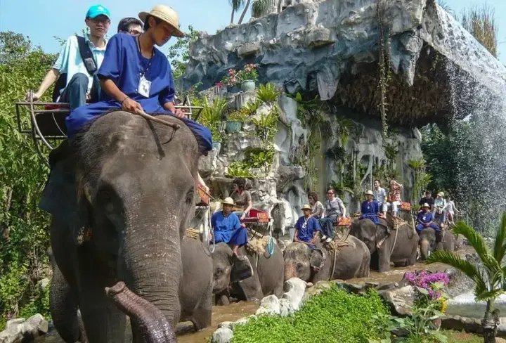 Samphran Elephant Ground & Zoo | Book Now & Get Upto 30% Off