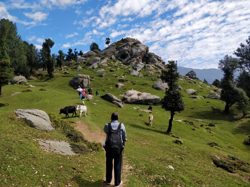 Churdhar Trek, Himachal - Book Now | Hey Himalayas
