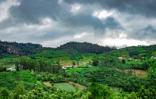 Coorg in June 2025: Best Places, Things to Do & Weather Guide