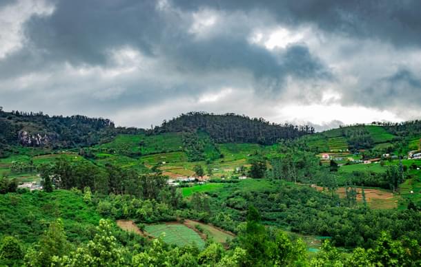 Coorg in June 2025: Best Places, Things to Do & Weather Guide