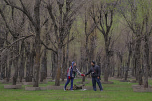 10 Places to Visit in Pulwama for an Unforgettable Experience