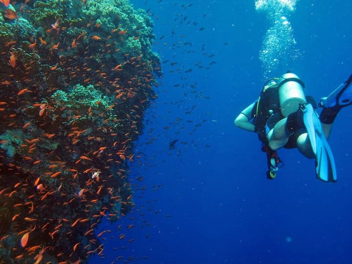 6 Places To Go Scuba Diving In London