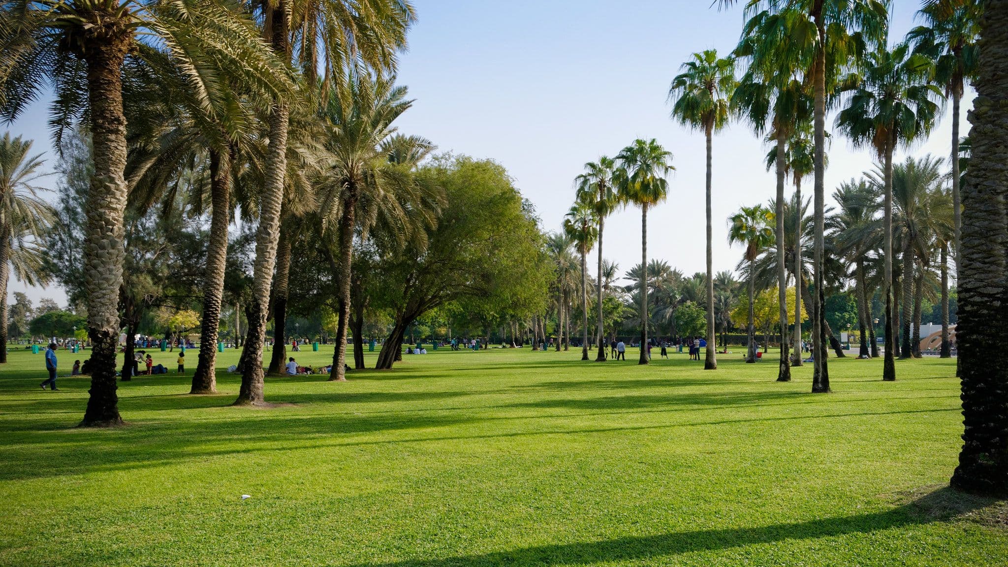 12 Dubai Picnic Places For A Quick Family Getaway!
