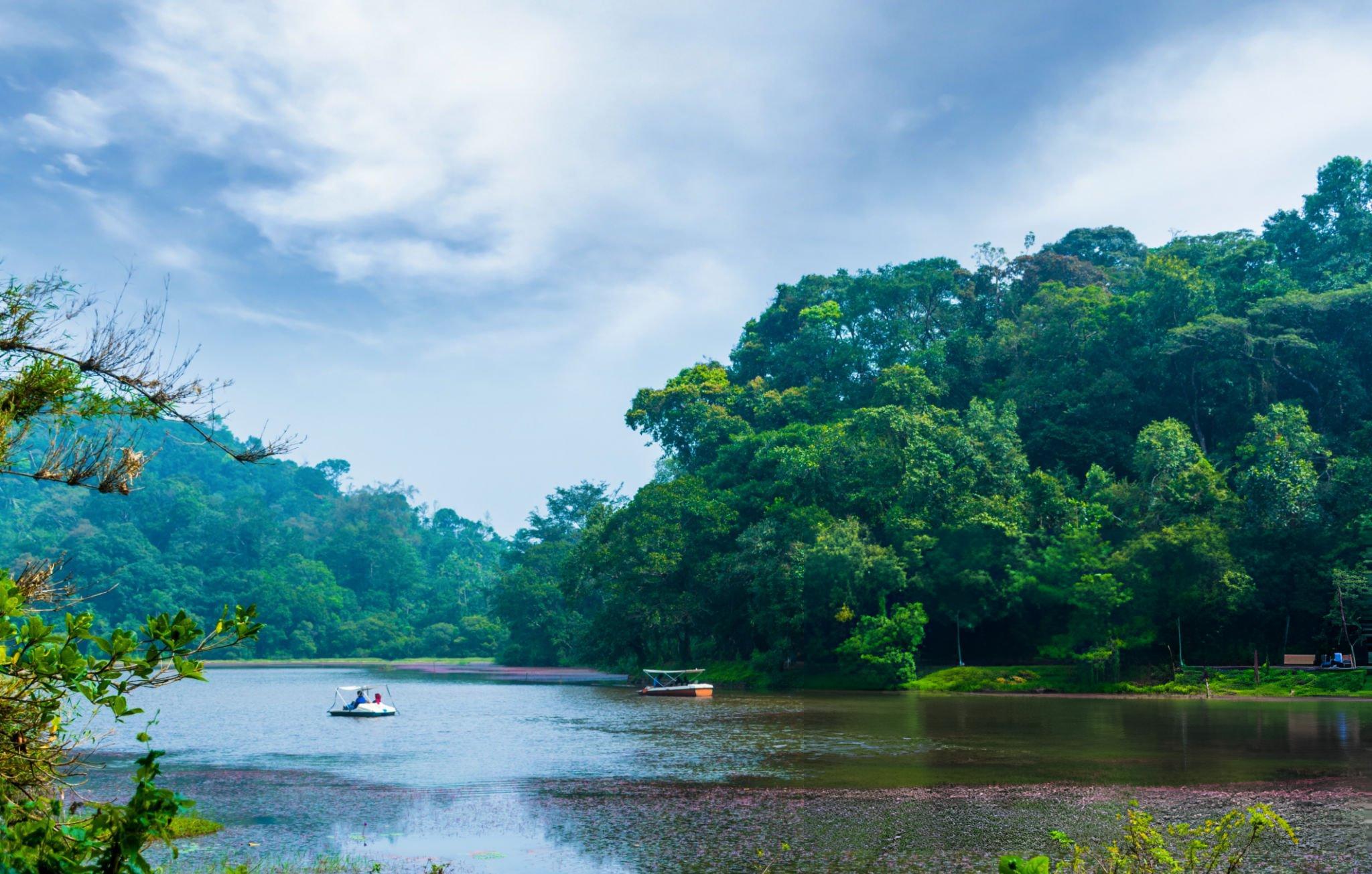 Scenic Getaway to Wayanad