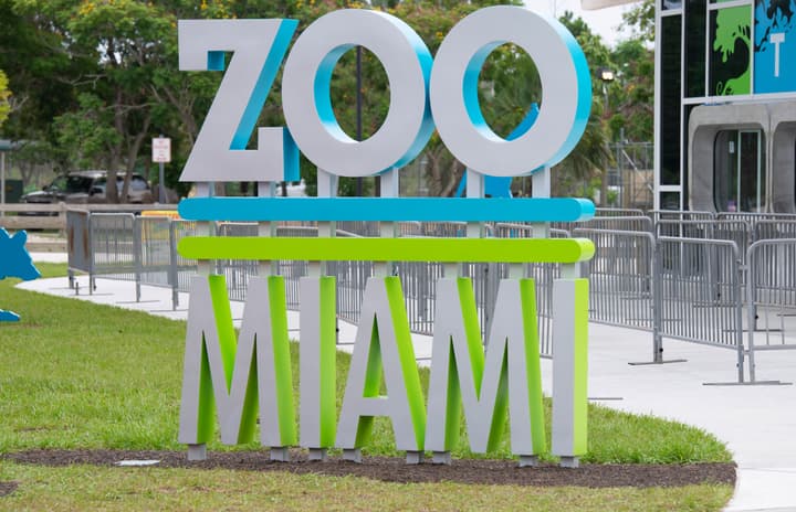 Miami Zoo Tickets | Book Now & Get Best Deals!
