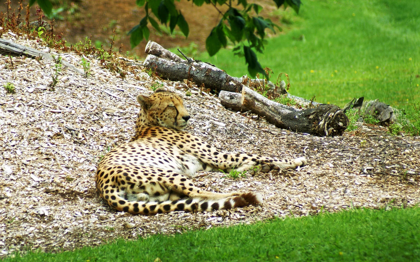 25 Places to Visit in Hamilton, Tourist Places & Top Attractions