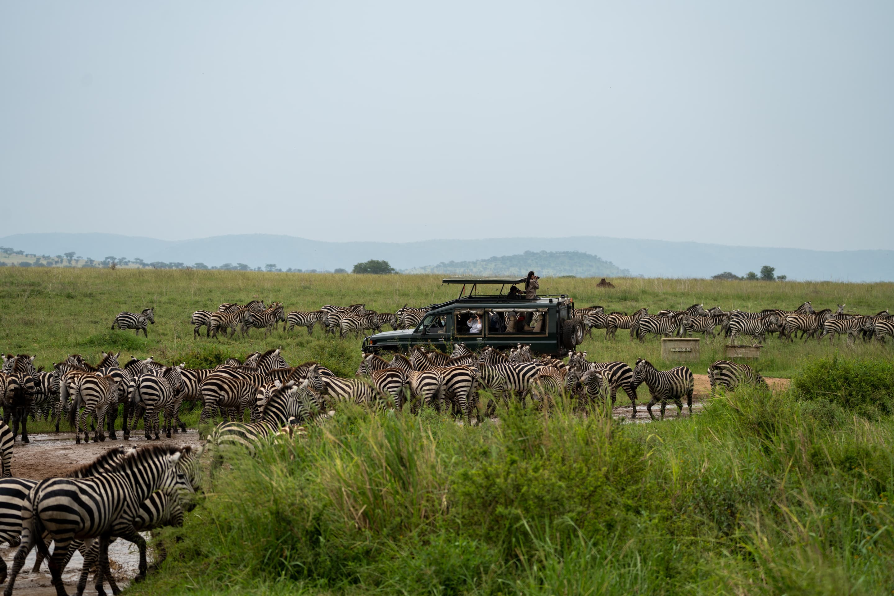Kenya Tour Packages from Mumbai | 22+ Ready Travel Itineraries