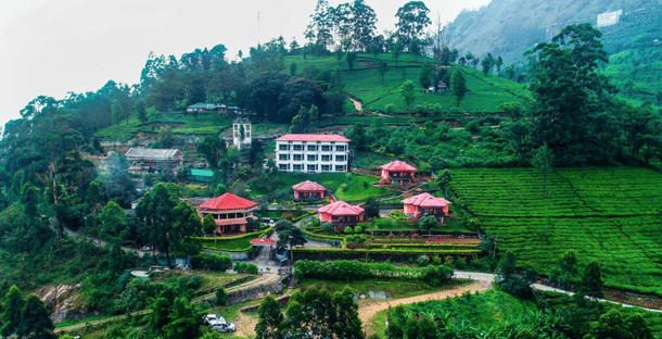 35 Homestays in Munnar | Upto 50% Off on Munnar Homestays