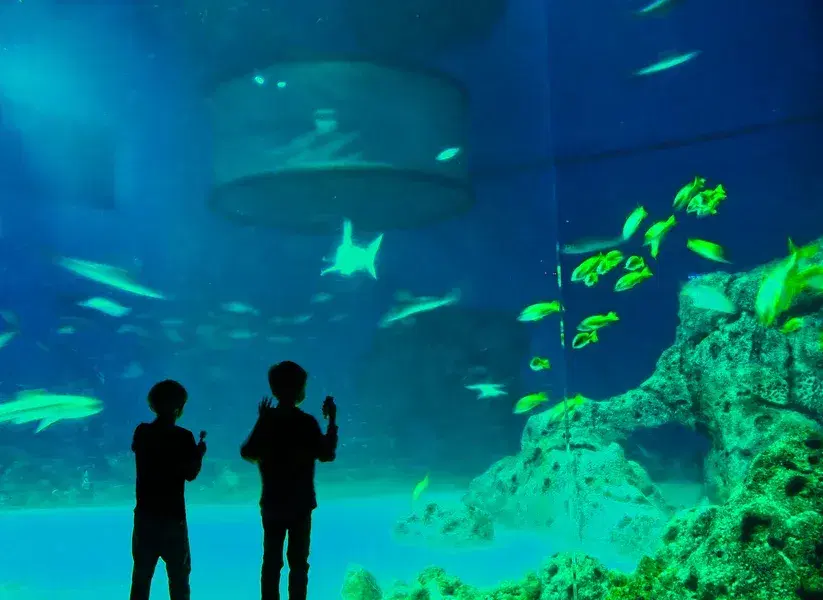Blue Planet Aquarium Logo