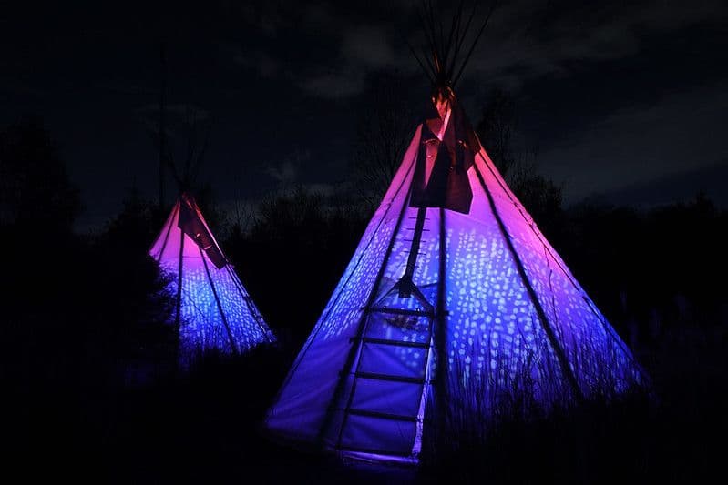 Book Toronto Zoo Tickets | Get Upto 35% Off Deals