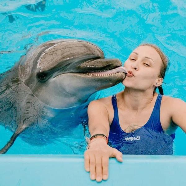 Dubai Dolphinarium | Play, Swim & Enjoy a Funday with Dolphins