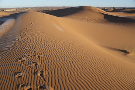 Saudi - Welcome to Arabia