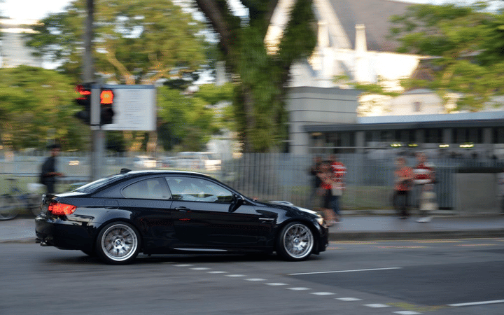 Plan Your Visit to Bird Paradise: How to Reach And Timings