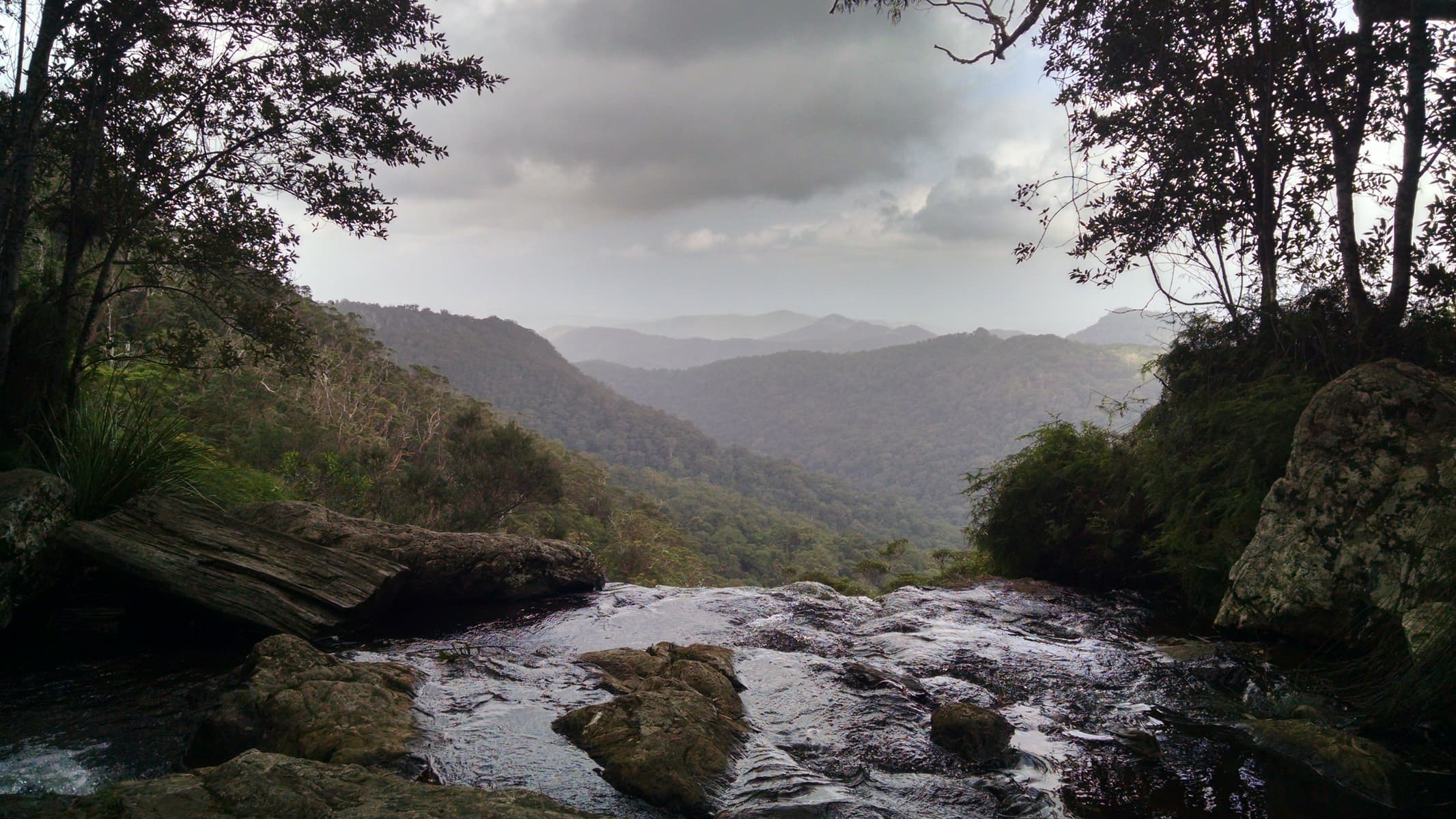 Springbrook National Park | A Lush And Verdant Escape
