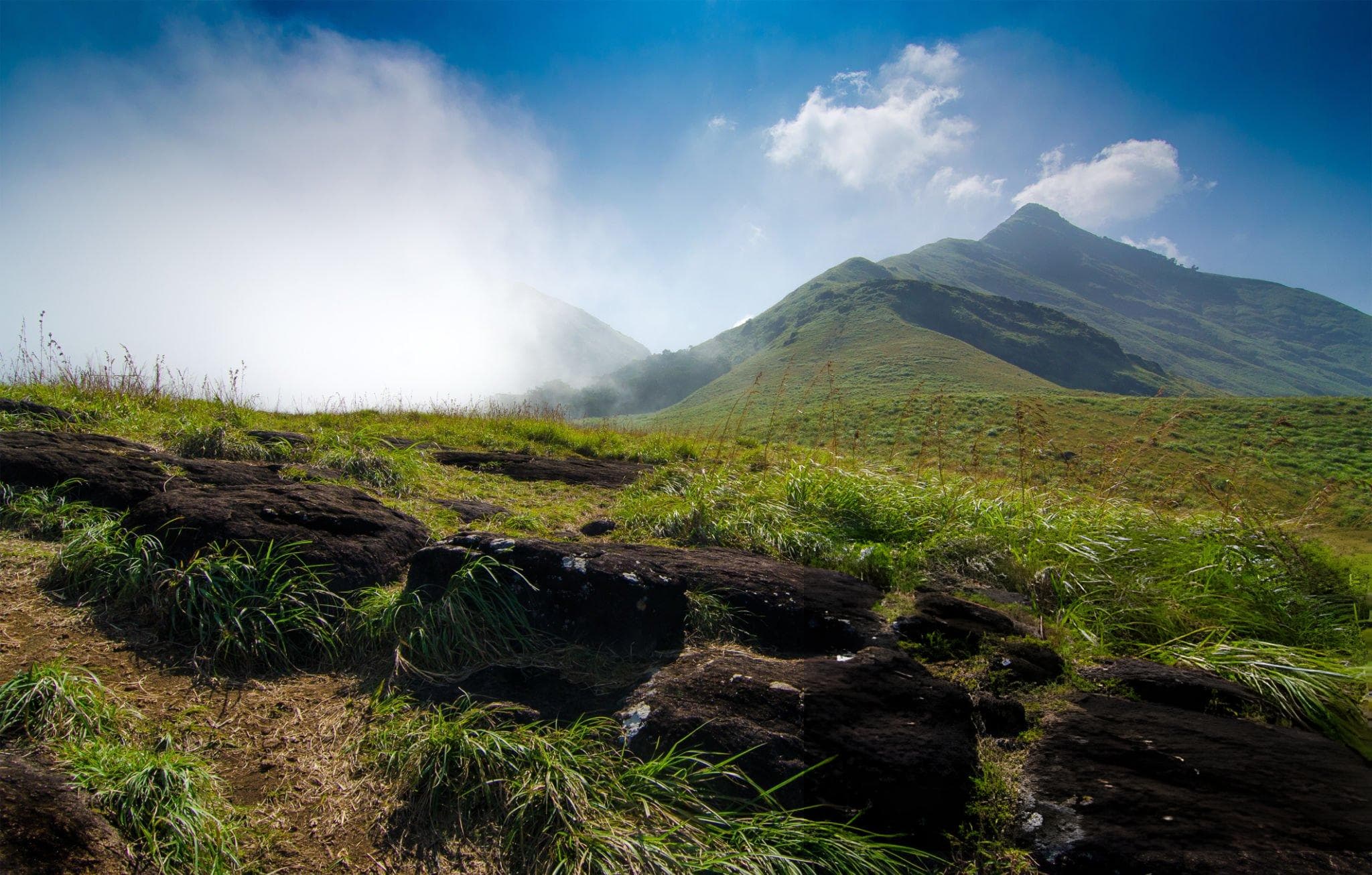 Scenic Getaway to Wayanad