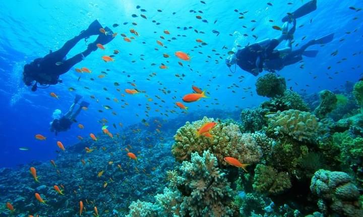 6 Places To Go Scuba Diving In London