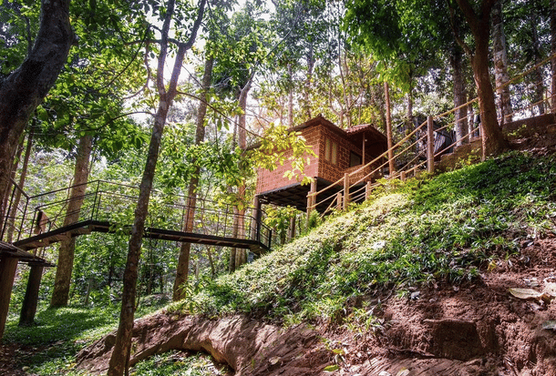 10 Pool Villa in Wayanad: 2026 (Location, Price & Amenities)