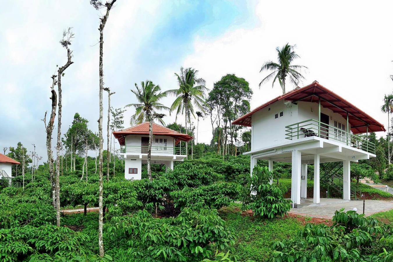 50 Homestays in Wayanad, Book Now & Get Upto 50% Off