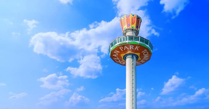 Ocean Park Hong Kong Rides | Everything You Need to Know