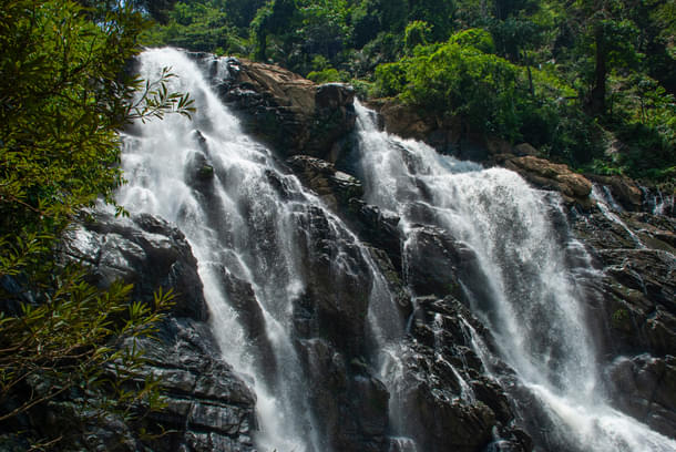 15 Wayanad Packages From Bangalore | Get Upto 40% Off