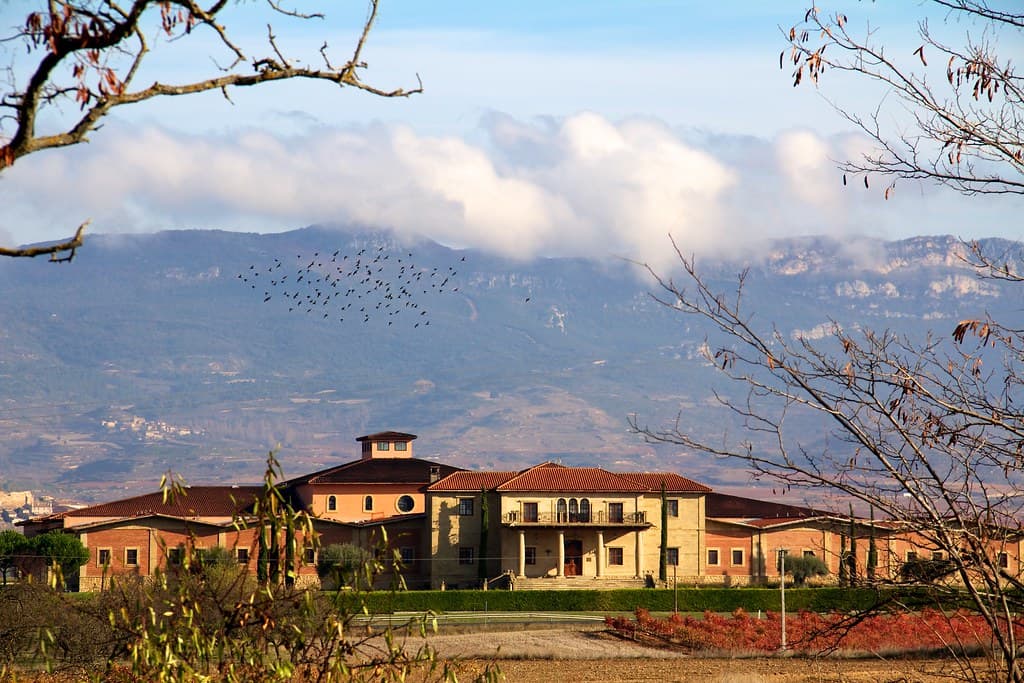 Winery Vivanco Museum of Wine Culture: How To Reach, Best Time & Tips