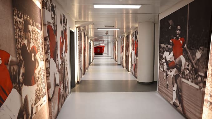 Plan Your Visit to Benfica Stadium | How to Reach, Location & Tips