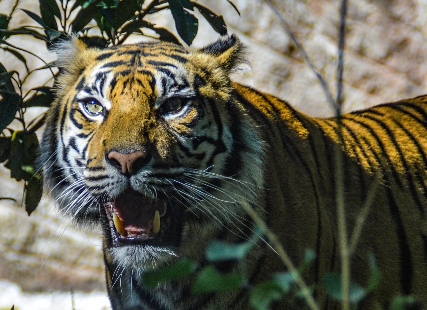 Zoos in Rome | Experience the Best of Rome's Wildlife