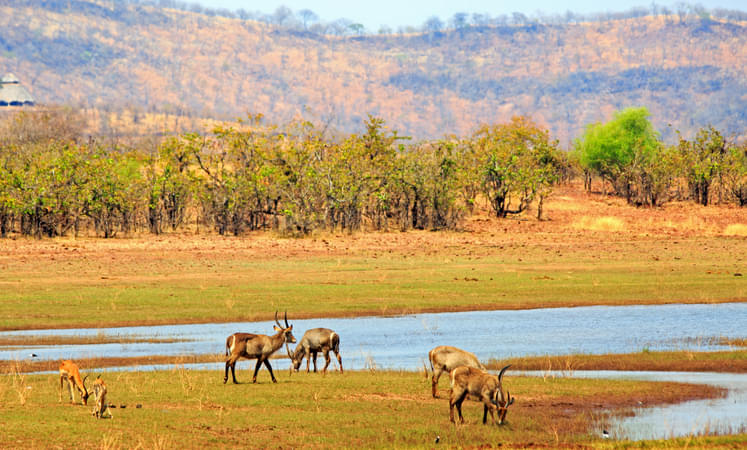 30 Places to Visit in Zimbabwe, Tourist Places & Top Attractions