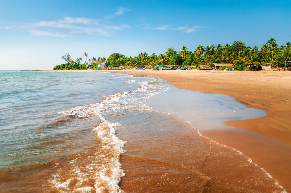 10 Best Beaches in Goa for Nightlife & Parties