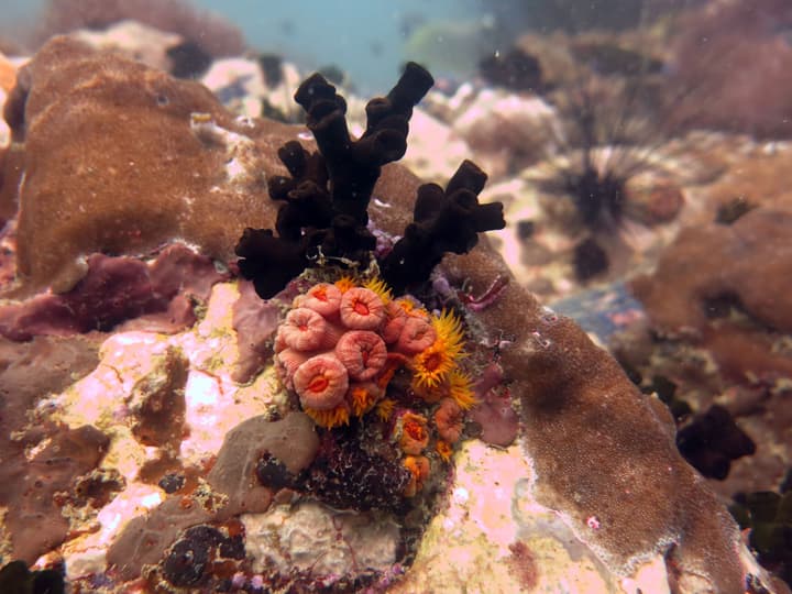 11 Zones at Underwater World Langkawi To Explore!