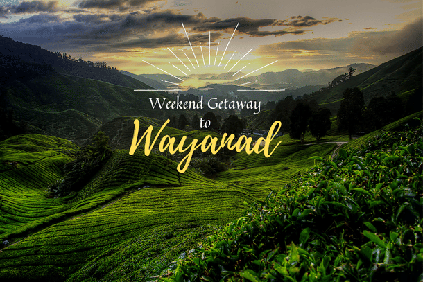 30 Wayanad Tourist Places: 2026 (Updated List With Photos)