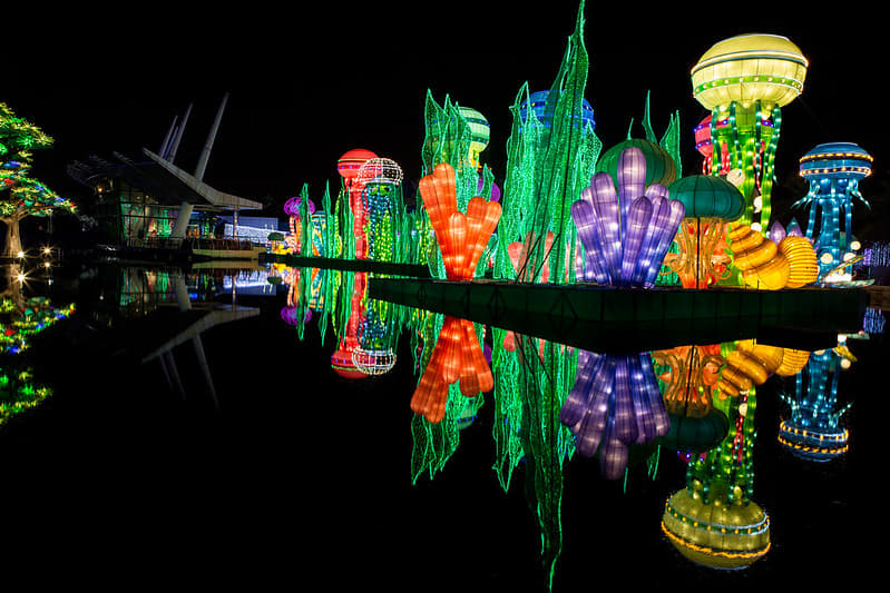 Inside Garden Glow: Explore the Magic of a Dazzling Light Show