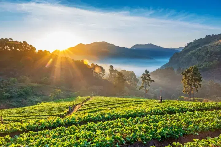 9 Chiang Mai Nature Attractions: Endure The Creation Of Wild