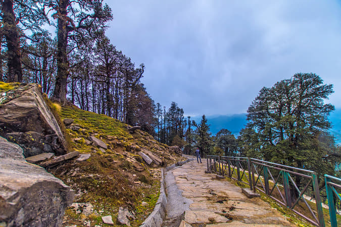 Chopta Chandrashila Trek
