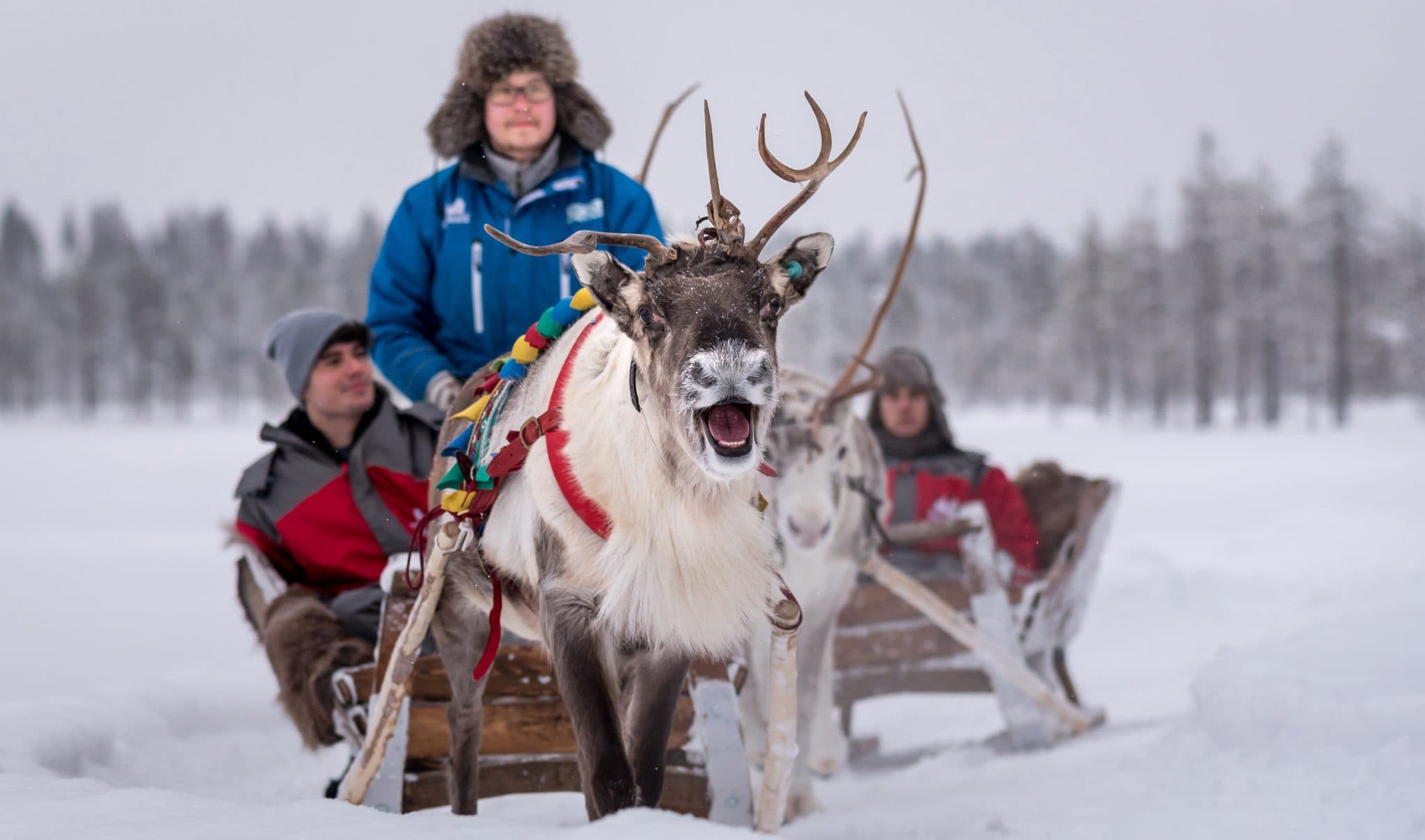 Incredible Iceland & Finland with FREE Reindeer Safari