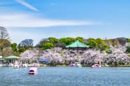 Ueno Park Tokyo How To Reach Best Time Tips