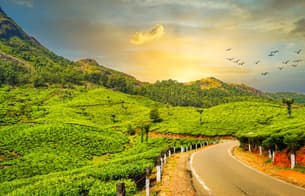 10 Things to Know Before Visiting Munnar in Winter
