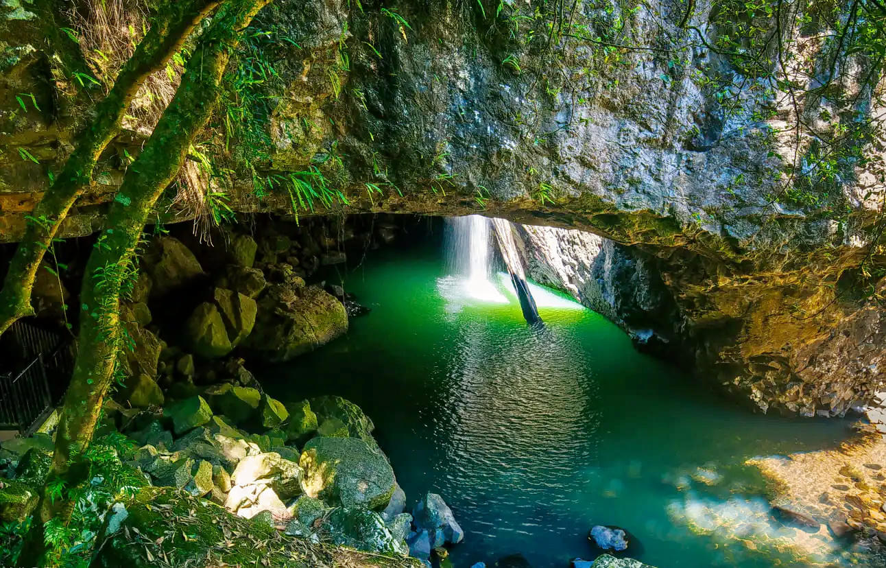 10 Things to Do In Gold Coast Hinterland | Get Upto 20% off!