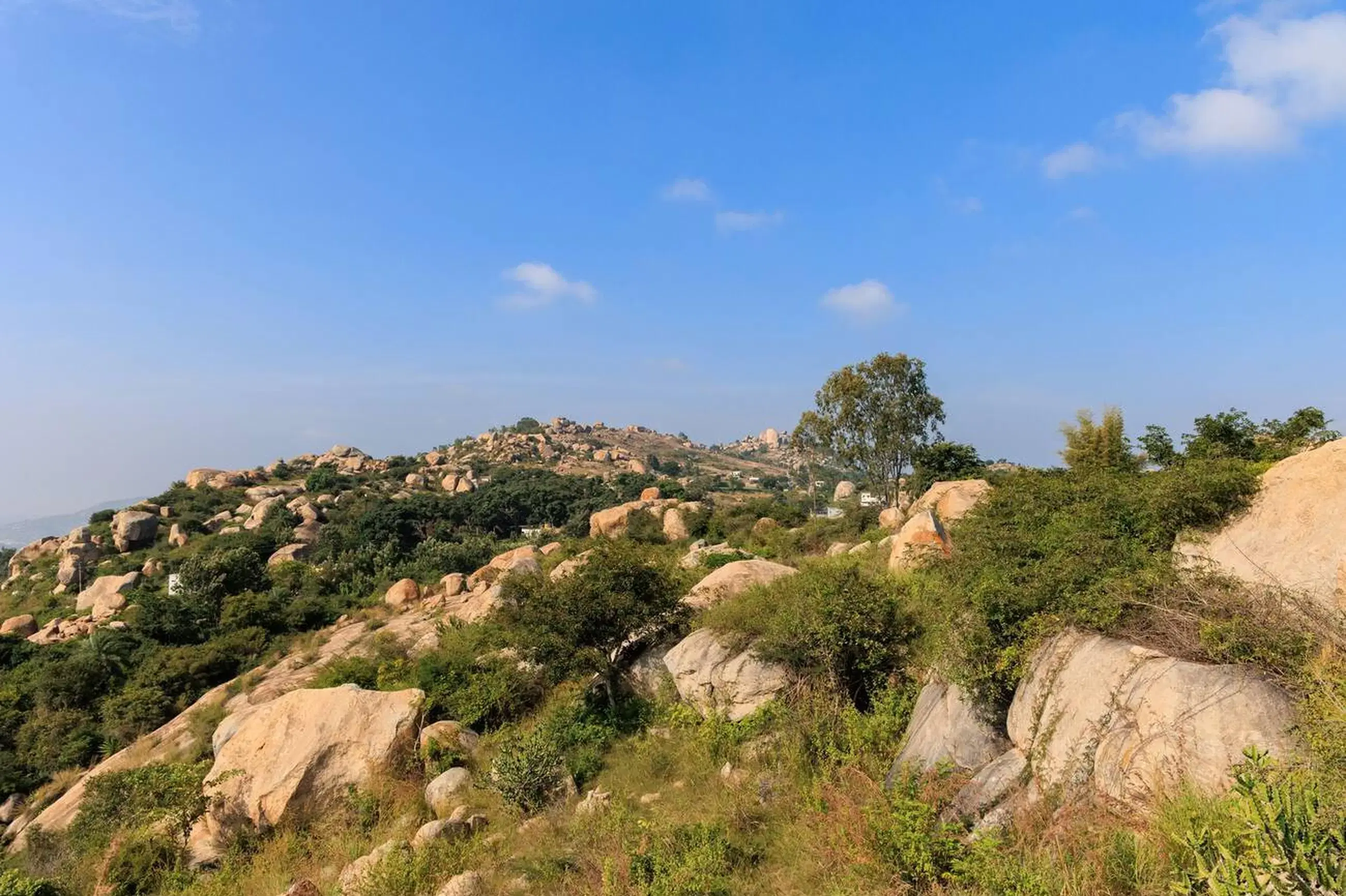 Anthargange Trek With Cave Exploration | Flat 15% Off