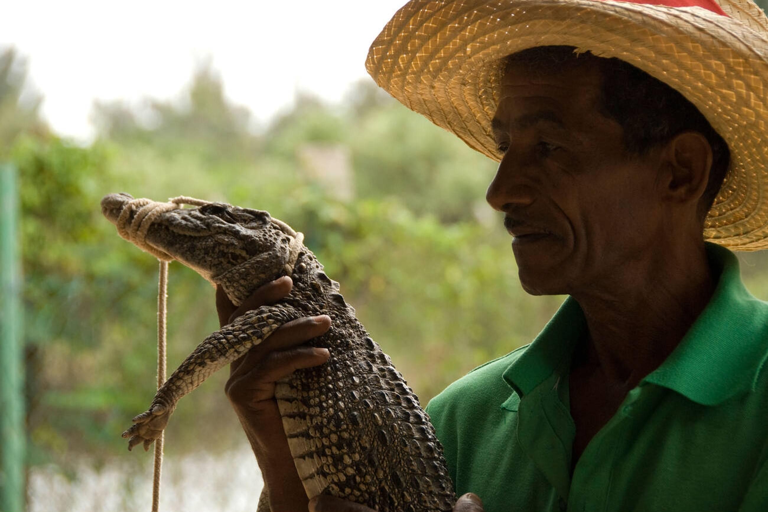 Madras Crocodile Bank Guided Walking Tour, Mahabalipuram