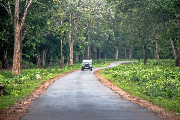 15 Places to visit in Kemmangundi For A Perfect Trip in 2026