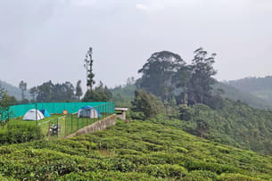 Camping in Ooty: Upto 30% Off on Ooty Camps