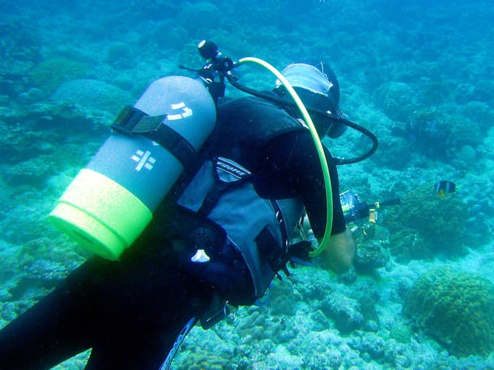 Tips For Scuba Diving in Dubai | Dive Safely And Enjoyably