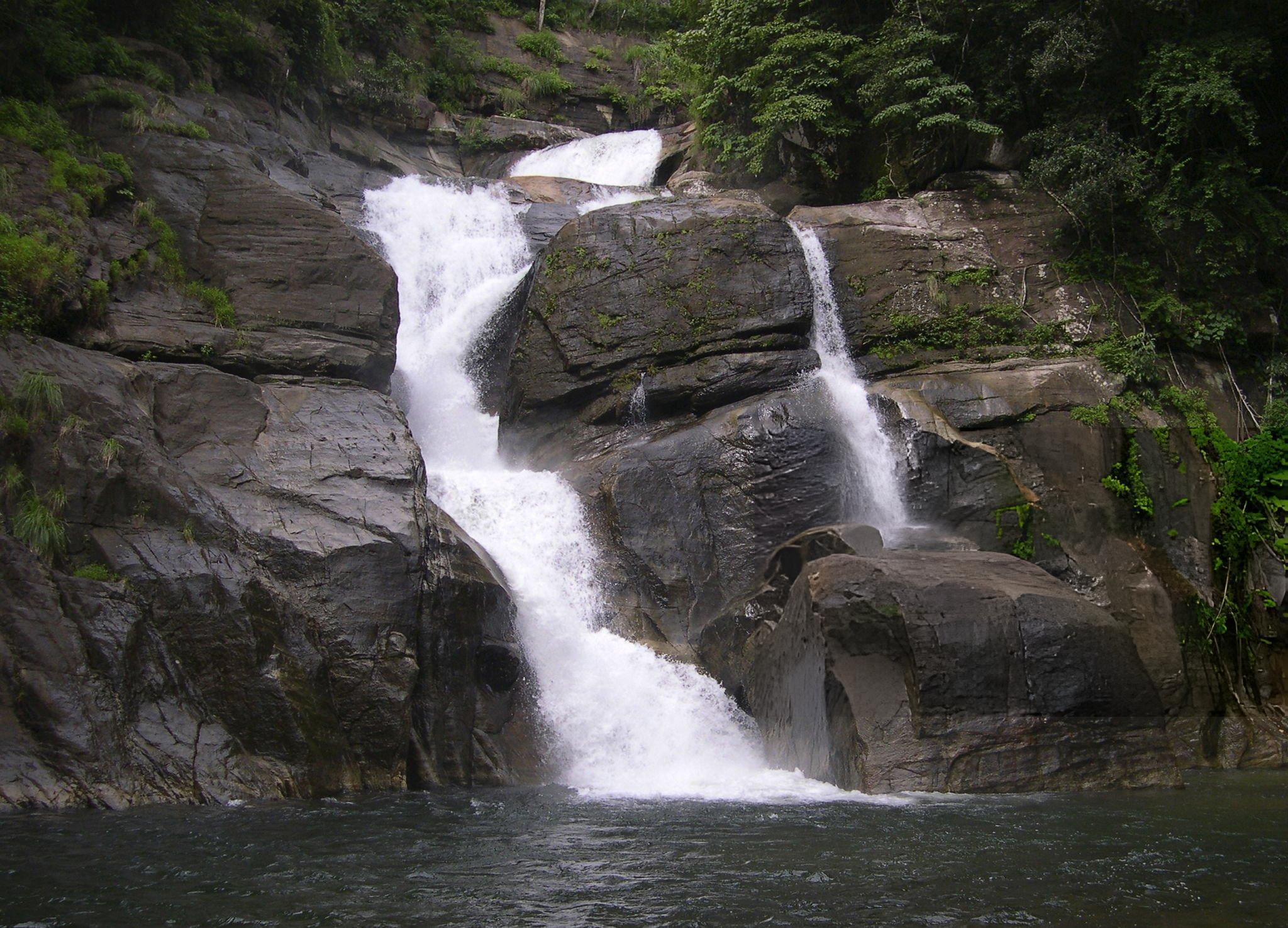 Scenic Getaway to Wayanad