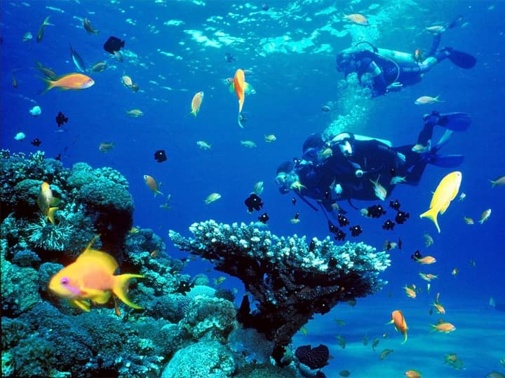 6 Places To Go Scuba Diving In London