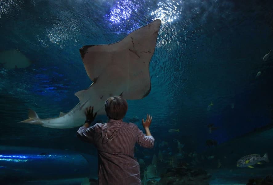 Manila Ocean Park : Entrance Tickets